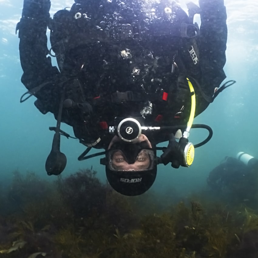 Vil du lære at dykke? Tag på dykkerkursus - Læs mere & book her